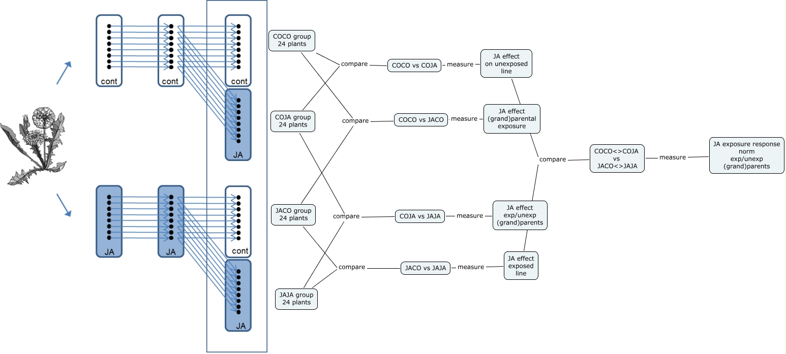 Design Transgenerational Transcriptomics Data Analysis How Is The 4144